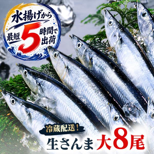 （検索用：生さんま 三陸 気仙沼 冷蔵 塩焼き 阿部長 ）●優良配送・届け日指定対象商品につきまして●下記の場合は対象外となります。・13時以降(休業日は12時以降)のご注文の場合・お届け先が対象地域外の場合(離島含む)・決済完了確認にお時...