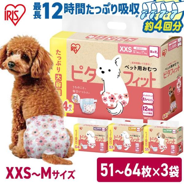 （検索用：3袋セット 12時間快適 ペット おむつ 犬用おむつ テープタイプ 薄型 最大4回分吸収 女の子 男の子 超小型犬 小型犬 中型犬 紙おむつ 猫 お出かけ 介護 生理 マナー XXS XS S M まとめ買い PitaFit アイ...