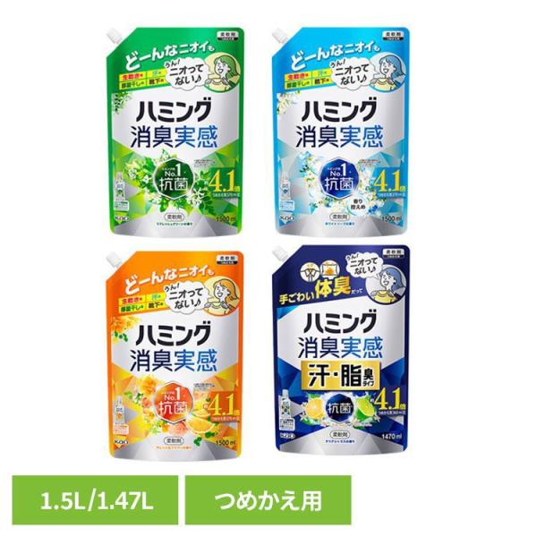 （検索用：花王 ハミング 柔軟剤 生乾き 部屋干し 詰替え 消臭実感 部屋干し臭 リフレッシュグリーンの香り 4901301450425 4901301450326 4901301450319 4901301450296）●翌日優良配送対象...
