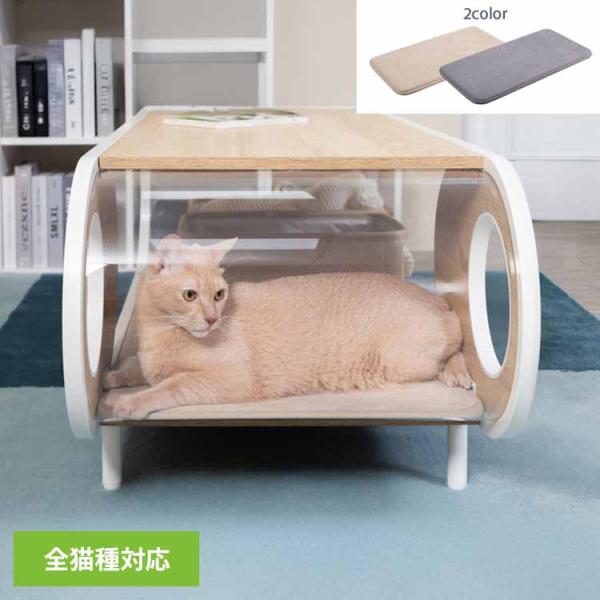 （検索用：キャットウォーク キャットステップ 猫用品 ペット用品 猫家具 猫ベッド マットレス ペット共生 猫部屋 賃貸おすすめ 0723592927943 0723592927936）●翌日優良配送対象商品につきまして●下記の場合は対象外...