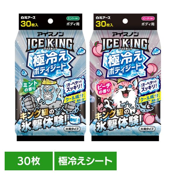 （検索用：白元アース アイスノン クール 猛暑 暑さ対策 ひんやり 4902407025272 4902407025265）●翌日優良配送対象商品につきまして●下記の場合は対象外となります。・13時以降(休業日は12時以降)のご注文の場合・...