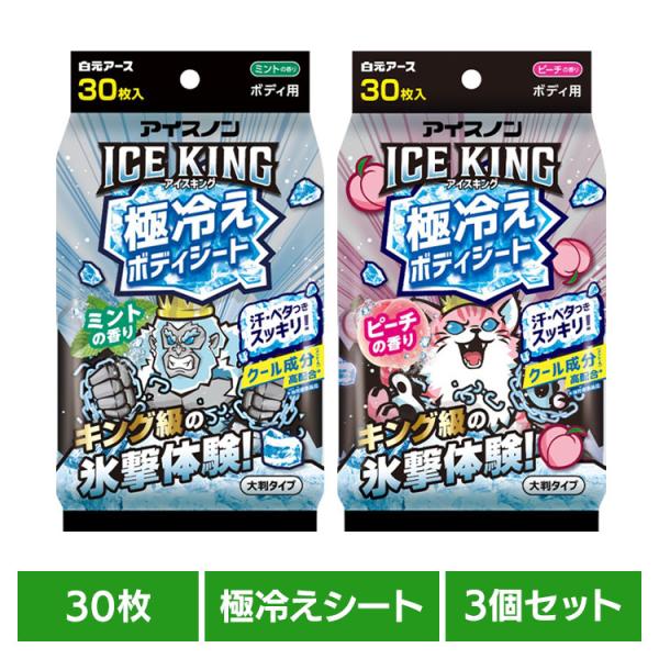 （検索用：白元アース アイスノン クール 猛暑 暑さ対策 ひんやり 4902407025272 4902407025265）●翌日優良配送対象商品につきまして●下記の場合は対象外となります。・13時以降(休業日は12時以降)のご注文の場合・...