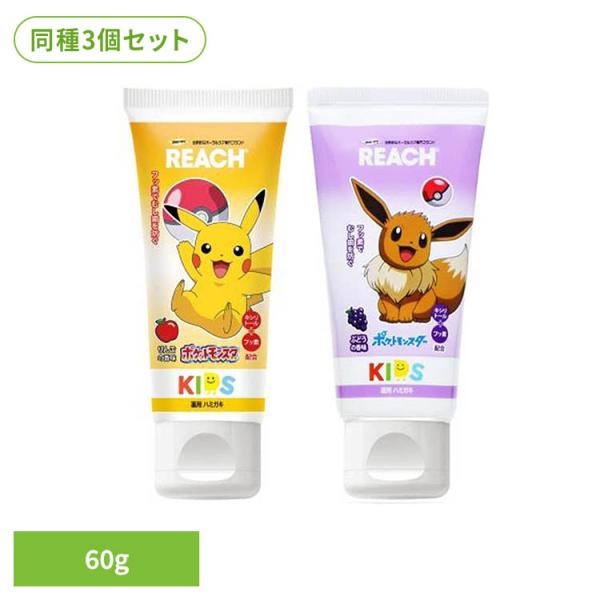 （検索用：リーチ 歯みがき オーラル オーラルケア 4560279565496 4560279568299）●優良配送・届け日指定対象商品につきまして●下記の場合は対象外となります。・13時以降(休業日は12時以降)のご注文の場合・お届け先...