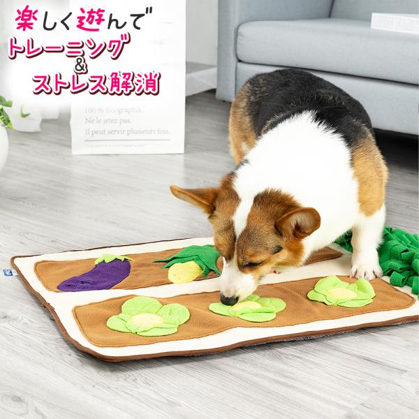 アライブ 探犬マット 野菜畑楽しく遊んでトレーニング＆ストレス解消■ 商品の特長独特のデザインで愛犬や愛猫の嗅覚を 活性化させ、遊びながら学ぶことができる画期的なノーズワークアイテムです。ご使用の前に指定箇所にフード粒、おやつ等を隠し遊ばせ...