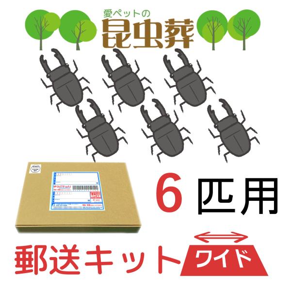 厚み2.9cm以内の昆虫ちゃんを6匹まで、「昆虫葬　郵送キットワイド」で郵送することが可能です。 亡くなった昆虫を郵送キットワイドに納めてポストに投函するだけで、兵庫県尼崎市にございます「愛ペットセレモニー尼崎」の昆虫天国（庭園）にて埋葬し...