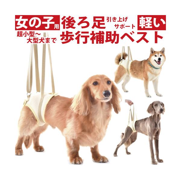 ●素材：ポリエステル100％（紐部分：ポリプロピレンテープ）●生産国：日本トイプードル プードル カニヘンダックス パピヨン ポメラニアン 他犬介護用ハーネス 犬の介護用品 ハーネス 介護用品 犬介護用品 犬の介護用ハーネス 老犬介護用品 ...
