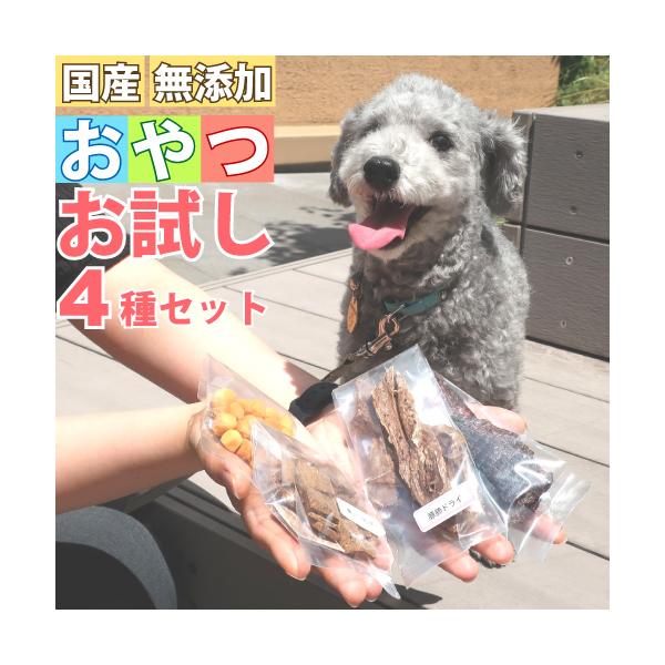 １世帯・１セット・１回限り　ネコポス便でお届け　税込1,100円出荷時点で30日以上賞味期限が残っている商品を出荷します。