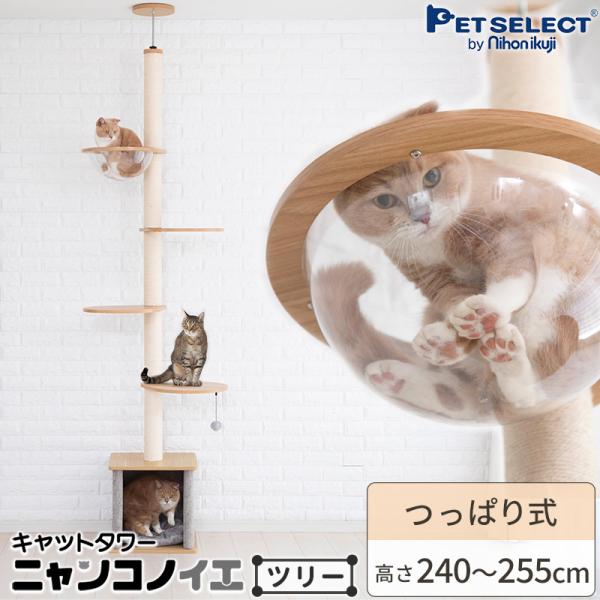 ナチュラルな家具調 デザイン キャットツリー ニャンコノイエ 窓 ハウス 多頭飼い 大型猫