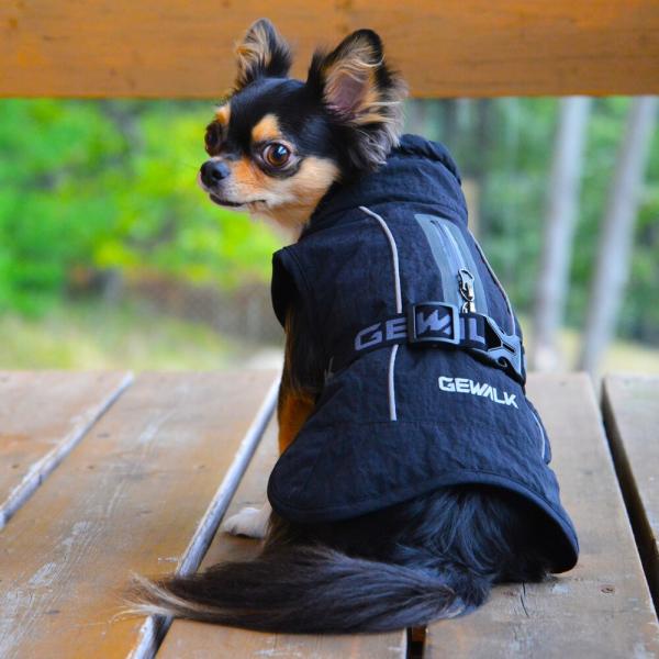 【GEWALK ジウォーク】　 ハイカー　サーマル　ジャケット 【XS　S　M】　犬 いぬ イヌ DOG 服 アウトドア