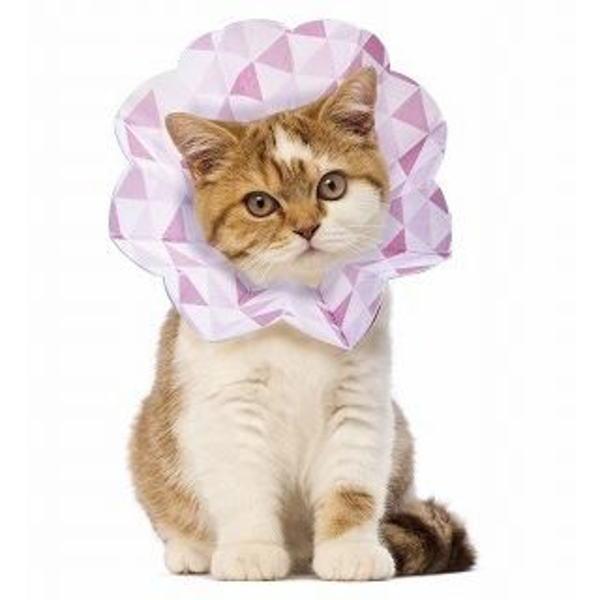 【サイズ】首周り:22〜40cm、高さ:10cm、厚さ1mm【材質】紙　日本製"ペットのためのキュートな味方「エリザベスカラー・erico」【コメント】傷口をなめることで傷を悪化させることを防ぐ為のペット専用保護具。取り付け、取り外しも簡単...