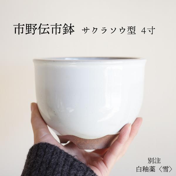 MANOMADE社別注市野伝市鉢 サクラソウ型 4寸 白色鉢です。※受け皿は別売になります。---植木鉢 コーデックス アガベ 塊根