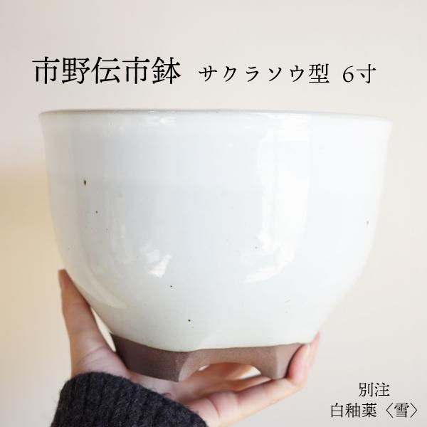 MANOMADE社別注市野伝市鉢 サクラソウ型 6寸 白色鉢です。※受け皿は別売になります。---植木鉢 コーデックス アガベ 塊根