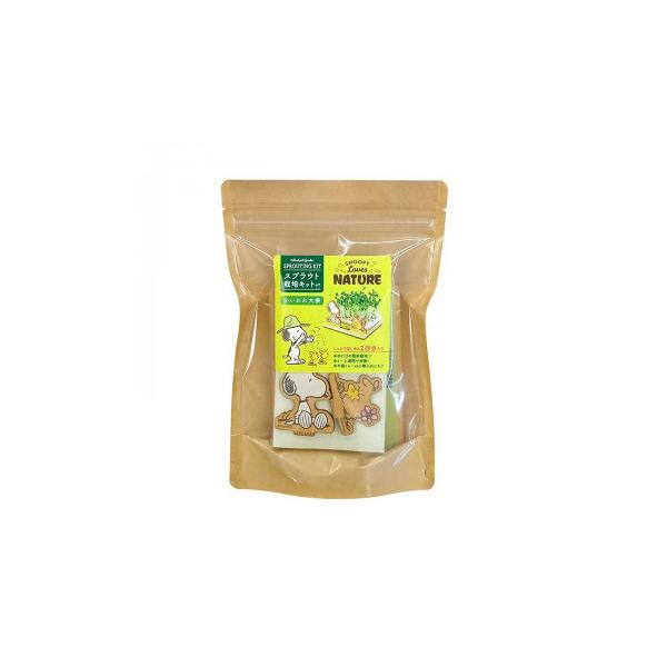 しっかり楽しめる2回分入り。水だけの簡単栽培!1〜2週間で収穫。木製トレーは小物入れとしても。