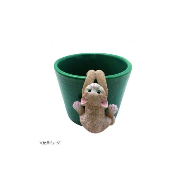 プランターや小物入れにちょこんと引っ掛けるだけで、愛らしさを添えてくれるネコちゃんたち。見るたびにほっこりと温かい気持ちにさせてくれる、心癒されるマスコットです。