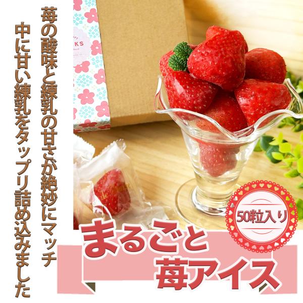 1箱50粒入りです。1粒づつ小分け包装なので、とっても便利で食べやすい。大粒の苺の中に、練乳クリームを入れたロングセラーアイス！爽やかスッキリ、こだわりの春摘み苺、酸味と甘さが凝縮された苺を使用。自然本来の味をお楽しみ下さい。練乳の甘さ香る...
