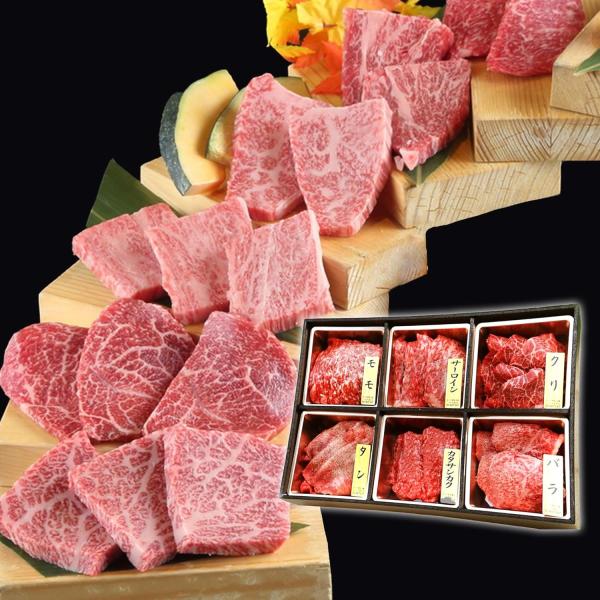 ＼特選黒毛和牛 佐賀牛を楽しむ本格焼肉セット／【贅沢食べ比べ】A5・A4佐賀牛入り厳選6種を少しずつ味わえる贅沢セット【人気部位を堪能】サーロイン・モモ・タンなど食感旨味の違いを一度に堪能【鮮度キープ】鮮度・衛生管理を徹底！フィルム付きで冷...