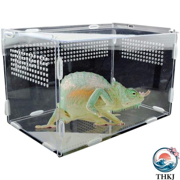 飼育ケース 爬虫類・両生類用飼育ボックス 昆虫飼育ケース 爬虫類 ケージ 爬虫類飼育ボックス 飼育容器 透明 アクリル製 ンク 両生類用飼育ケース