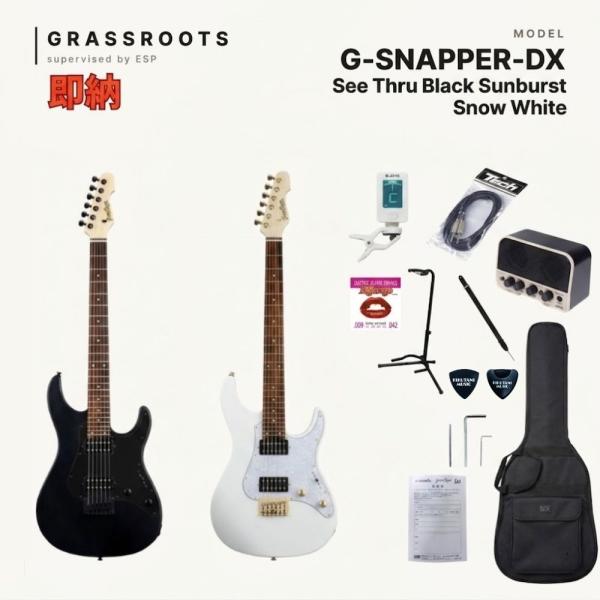 【商品関連ワード】ESP GrassRoots グラスルーツ エレキギター ESPギター 初心者ギター 入門用ギター コスパギター 安いギター エレキギター初心者 入門セット 初心者セット 練習用ギター 自宅練習 弾きやすいギター 軽量ギタ...