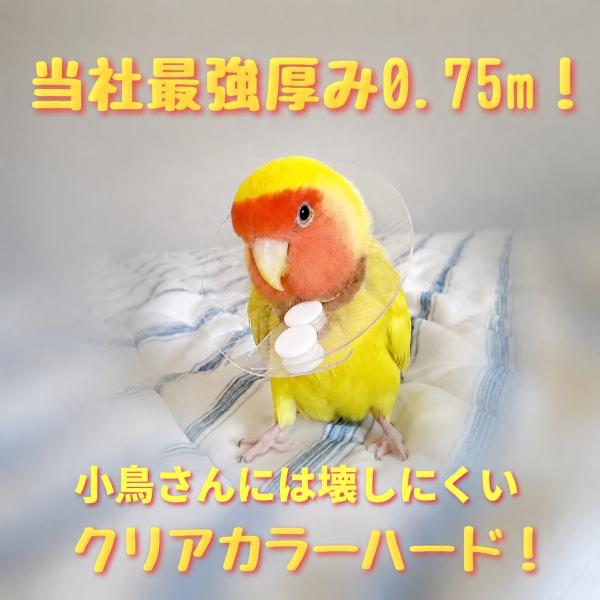 [7年の実績] 毛引き 自咬み 怪我各種インコ・小型のオウム・怪我や自咬み毛引き予防エリザベスカラーです。【ご注意】【初めてのエリザベスカラーを使用する場合はソフトタイプやクリアタイプのカラーで慣れてからご使用ください】○プラホックで着脱が...