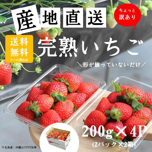 ★送料無料★産地直送 新鮮完熟いちご 少量パック(200g)×4P完熟した苺は一度食べたら忘れられない味。いちごのプロが完熟のものだけを厳選しておりますので、自信を持っておすすめできるいちごです。自分へのご褒美に、大切な方への贈り物やお遣い...