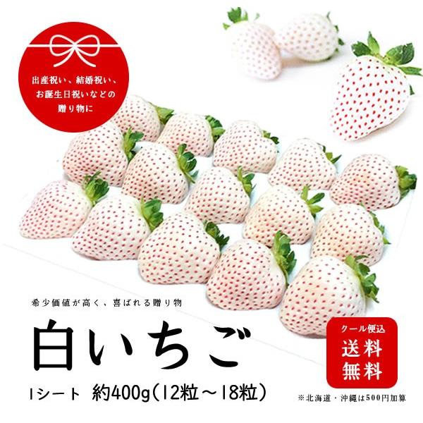 ★送料無料★産地直送 新鮮完熟白いちご 真っ白なボディに赤い粒が可愛らしく、希少価値の高い白いちごのシート。お誕生日出産祝い、結婚祝いなどの贈り物としても喜ばれることまちがいなしです。★産地直送の完熟フレッシュいちご。白イチゴの果肉は柔らか...