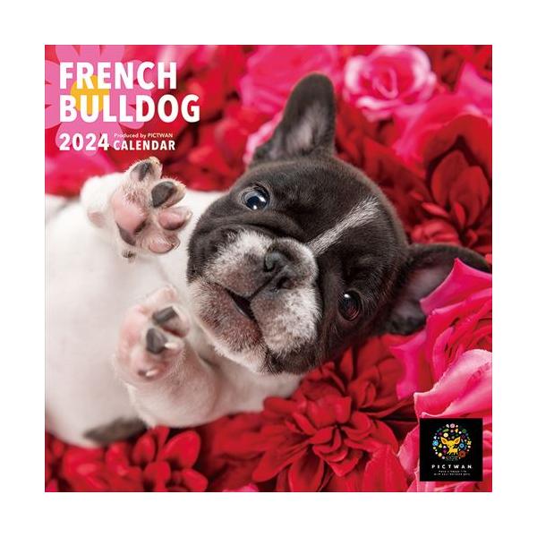 カレンダーの発売日延期や仕様変更につきましては、商品ページにてご確認くださいませ。価格変更・生産中止になった場合には、当店よりメールにてご案内させていただきます。サイズ・仕様／ヒラW170×H170mm・28P商品番号／24CL-50037...