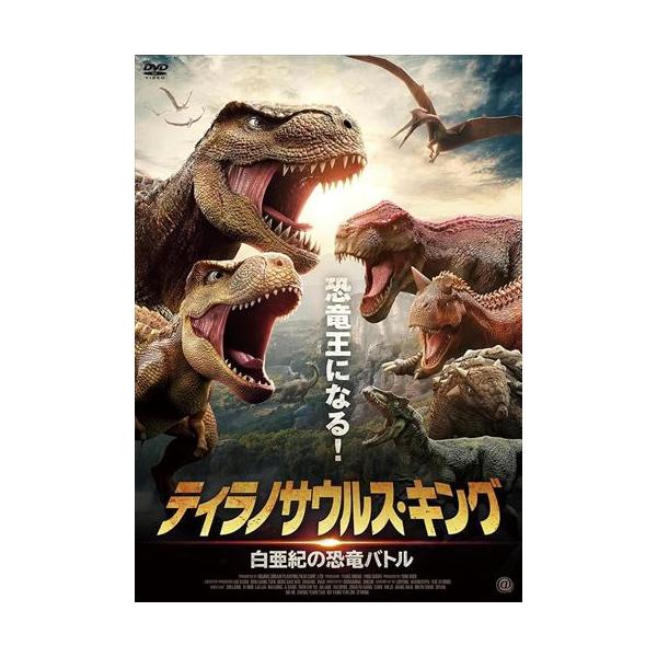 ★最安値に挑戦！迅速配送！★※商品により本社倉庫、第二倉庫、メーカー在庫に分かれます。納期遅れる場合もございます。※発売日後のお届けとなる場合もございます。＜仕様＞DVD＜収録内容＞アスペクト比  :  2.35:1メディア形式  :  色...