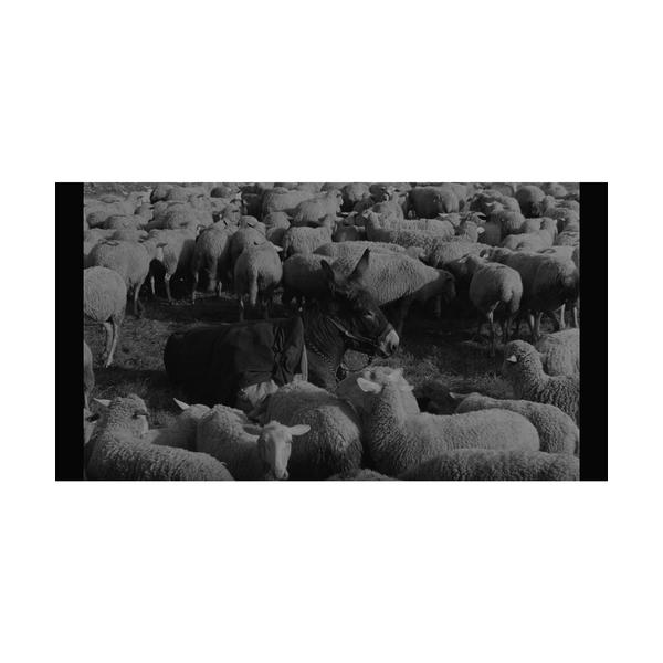 【発売日：2025年10月02日】★最安値に挑戦！迅速配送！★※商品により本社倉庫、第二倉庫、メーカー在庫に分かれます。納期遅れる場合もございます。※発売日後のお届けとなる場合もございます。※仕様・収録内容は告知なく変更になる場合がございま...