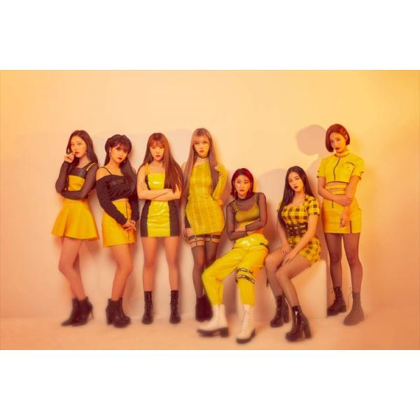 ※商品により本社倉庫、第二倉庫、メーカー在庫に分かれます。納期遅れる場合もございます。※取り寄せ商品となるため、発売日後のお届けとなる場合もございます。※ご購入できた場合でも、在庫がなくなり次第キャンセルとなる場合がございます。何卒ご了承く...