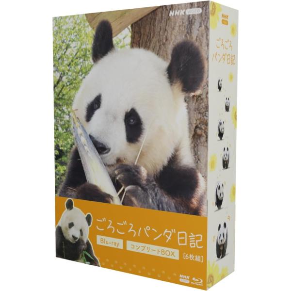 【発売日：2026年03月27日】タンタンが神戸で過ごした日々を振り返る感動ドキュメンタリー