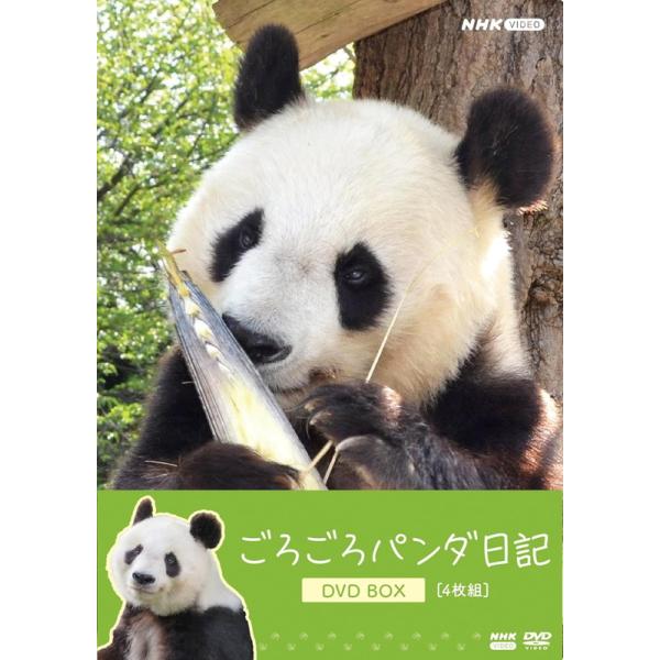 【発売日：2026年03月27日】タンタンが神戸で過ごした日々を振り返る感動ドキュメンタリー