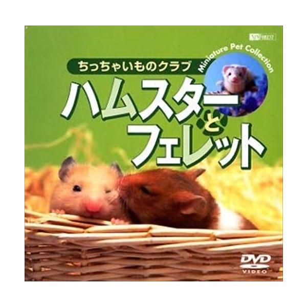 ★最安値に挑戦！迅速配送！★※商品により本社倉庫、第二倉庫、メーカー在庫に分かれます。納期遅れる場合もございます。カメラの前は僕らの遊び場!＜仕様＞DVDEAN : 4945977200366製造元リファレンス : SDA22メディア形式 ...