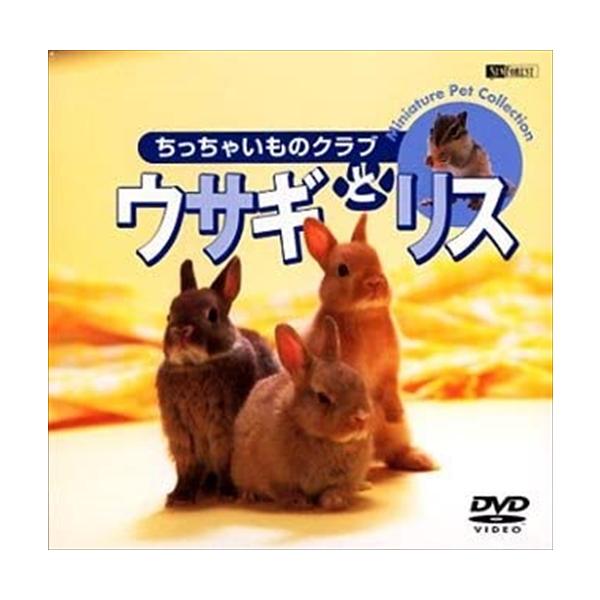 ★最安値に挑戦！迅速配送！★※商品により本社倉庫、第二倉庫、メーカー在庫に分かれます。納期遅れる場合もございます。カメラの前は僕らの遊び場!＜仕様＞DVDEAN : 4945977200373製造元リファレンス : SDA23メディア形式 ...