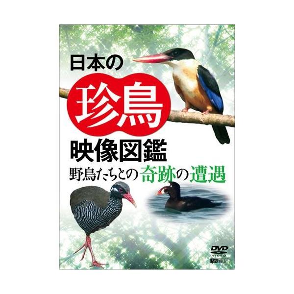 ★CD・DVD最安値に挑戦中！迅速配送！★“逢えたら奇跡”の珍しい鳥たちを「219 種・3 時間超」一挙収録！好評の『日本百鳴鳥』に続く、“前代未聞・空前絶後”の史上初となる珍鳥映像図鑑。＜解説＞“エトピリカ”“ヤンバルクイナ”のような誰も...