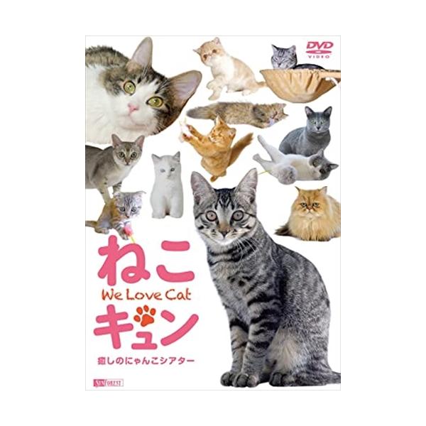 ★最安値に挑戦！迅速配送！★※商品により本社倉庫、第二倉庫、メーカー在庫に分かれます。納期遅れる場合もございます。リビングを猫カフェに―心温まる「癒しの12猫種」を収録した「にゃんこ映像集」誕生!＜仕様＞DVDEAN : 494597720...