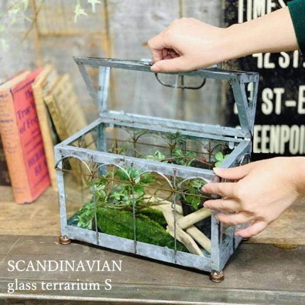 ●SCANDINAVIAN ガラステラリウム Sサイズ●ガラスの向こうに植物をディスプレイできるおしゃれなテラリウム。●映画に出てくるようなガラスハウスをコンパクトにした素敵なデザインです。●屋根部分は開閉でき、苔やシダ、アイビーなどを入れ...