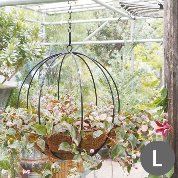 ●ハングココドームバスケットＬ●アンティーク調のおしゃれな吊り型ワイヤーバスケットです。ココヤシファイバーのライナー付きなので、すぐに植物を植え込むことができます●ココヤシファイバーは通気性・通水性に優れているので、インテリア性を高めつつ、...