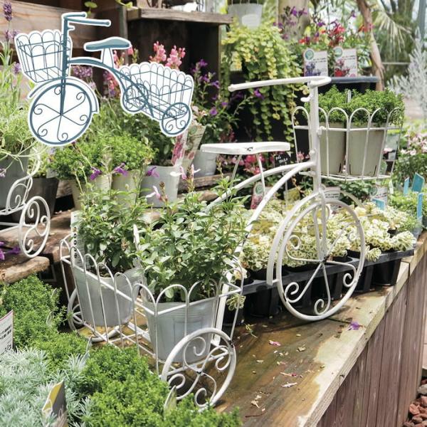 ●ガーデントライシクル●ガーデンをおしゃれに演出する三輪車型のフラワースタンドです。●前後のバスケットにお気に入りの鉢花や小物などを飾ったり、つる性の植物を絡ませたり、アレンジも楽しめます。ココヤシファイバーや麻布を敷けば、プランターとして...