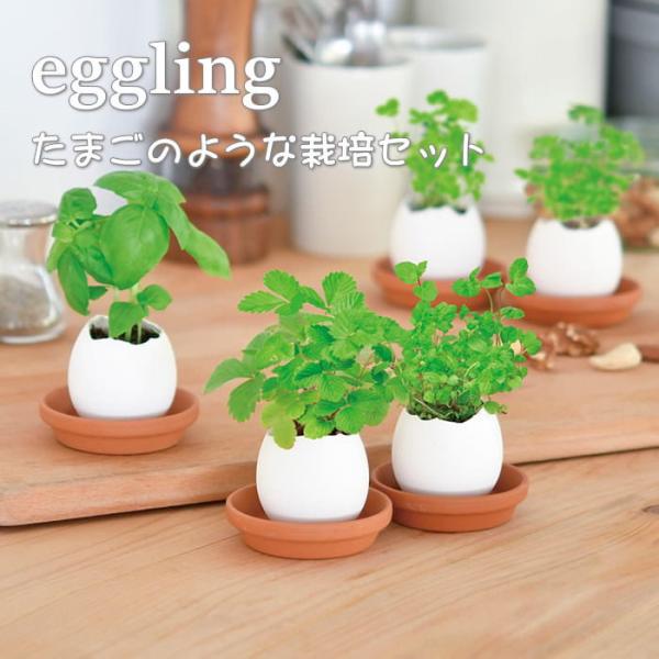 ●eggling エッグリングクリアパッケージ●まるで本物のたまごのようなeggling。見た目も手触りも本物のたまごのようですが、たまごは陶器でできていて、中には種と土がセットされています。●たまごの中から植物が育っているようなユニークな...