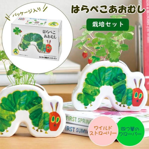 ●はらぺこあおむし わくわく陶器ポットガーデン●ポットや土、種などが揃った栽培キット。絵本のように開くスタイルのパッケージでギフトにもおすすめ●かわいいはらぺこあおむしが絵本の世界から飛び出してきたような瀬戸焼の陶器のシルエット型ポットで育...