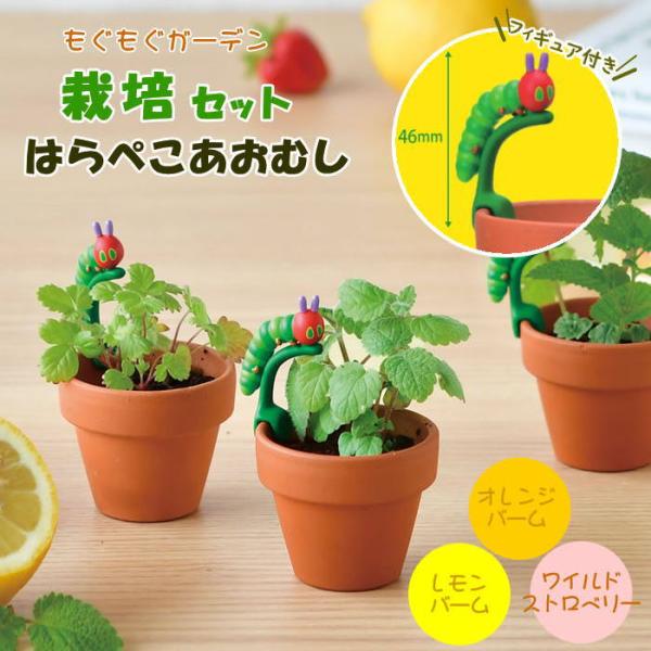 ●はらぺこあおむし もぐもぐ栽培ガーデンセット●ポットや土、種などが揃ったハーブの栽培キットです。園芸初心者でも気軽に始められます。●立体的なはらぺこあおむしのフィギュアが付いたコンパクトサイズのかわいいミニ栽培セット●栽培ポットはマットな...
