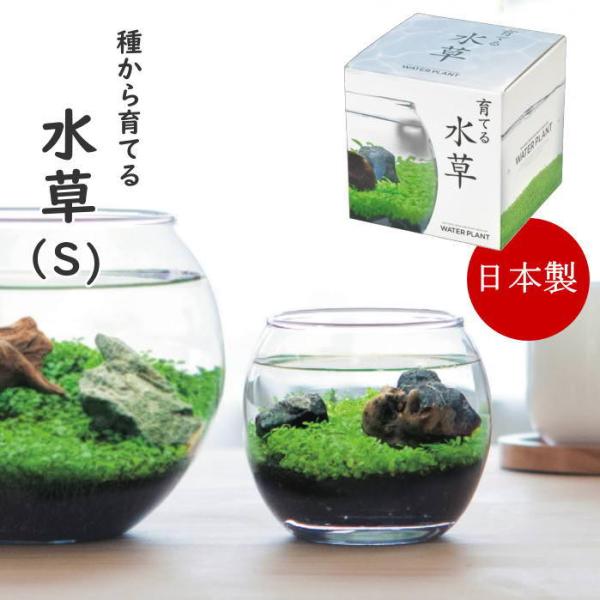 ●育てる水草（S)●手軽にアクアリウムをスタートできる種から水草を育てる必要なものが すべて揃った水草の栽培セットです。●器の中を自由にイメージしながら世界にひとつだけのアクアリウムの庭園を作ることができ園芸初心者でも気軽に栽培に挑戦できま...