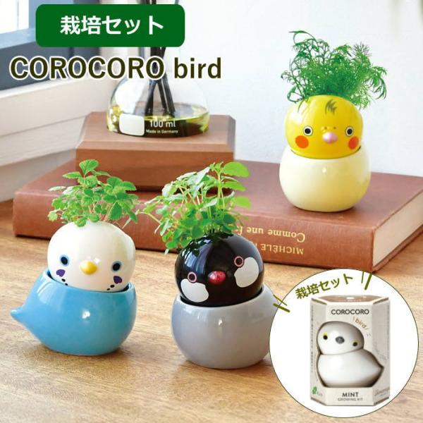 ●コロコロバード COROCORO bird シマエナガ ブンチョウ セキセイ オカメミント●大人気のコロコロシリーズにカラフルな小鳥たちが仲間入り！。かわいいパッケージで プレゼントにもぴったりです。●体の中に水を溜めて、頭の上で小さな植...