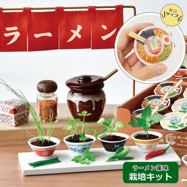 ●ラーメン薬味栽培キット●ミニミニサイズの陶器製ラーメンどんぶりで育てる、器や土、種などが揃った栽培キットです。園芸初心者でも気軽に栽培に挑戦できます。●醤油・塩・担々・みそのラーメンに欠かせない、ねぎ みつば 青梗菜 とうがらしの4品種。...