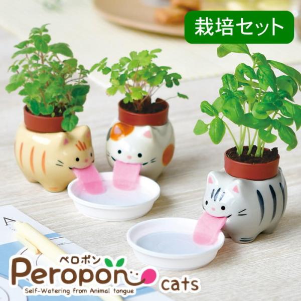 ●Peropon cats ペロポンキャッツ●ポットや土、種などが揃った栽培キットです。園芸初心者でも気軽に植物の栽培を始められます。●ペロペロとお水を飲んでいる姿が愛らしい「ペロポン」。飲んだお水が背中のポットへ行き渡り植物がスクスクと育...