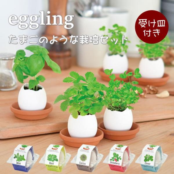 ●eggling エッグリングクリアパッケージ●まるで本物のたまごのようなeggling。見た目も手触りも本物のたまごのようですが、たまごは陶器でできていて、中には種と土がセットされています。●たまごの中から植物が育っているようなユニークな...