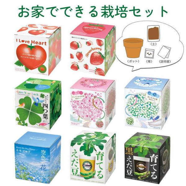 ●栽培セット●野菜や花などの栽培セットです。ポットや土、種など栽培に必要なものがワンセットになっているのでお手軽に植物の栽培を始められます。●キッチン、窓辺、デスク周りなど、太陽の光が当たり、適温の場所ならどんな所でも育てられます。●それぞ...