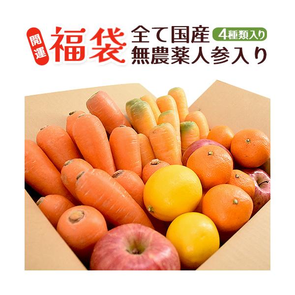 定番の無農薬人参、特別栽培りんご・レモンに加え、静岡県産三ケ日みかんをセットとして福袋にしました！生搾りジュースやお料理に♪ 季節限定福袋 2026※送料加算区域について以下の地域は送料を別途加算させて頂きます。北海道 941円沖縄 1,9...