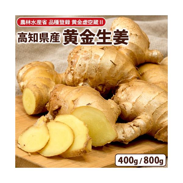 毎朝のジュースや紅茶に、すりおろしてひとかけら加えるだけ。それだけで、体の中からじんわり温まる習慣が始まります。 この黄金生姜は繊維が少なくきめ細かい肉質だから、飲み物にもなめらかに溶け込み、芳醇な辛さと風味が楽しめます。1991年に高知県...