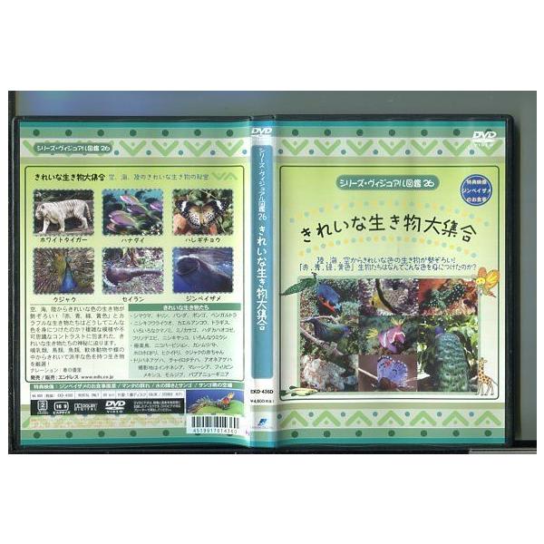 シリーズ・ヴィジュアル図鑑26 きれいな生き物大集合/ 中古DVD レンタル落ち/春日優里/y4414レンタルで使用した商品です。国内正規品です。ケースはセル用ケースに交換済です。ディスクは全て研磨機にてクリーニングを行っております。レンタ...